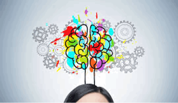 PSY 319 Cognition Sp25 | moodle