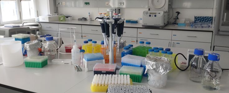 MCB Lab Thursday | moodle